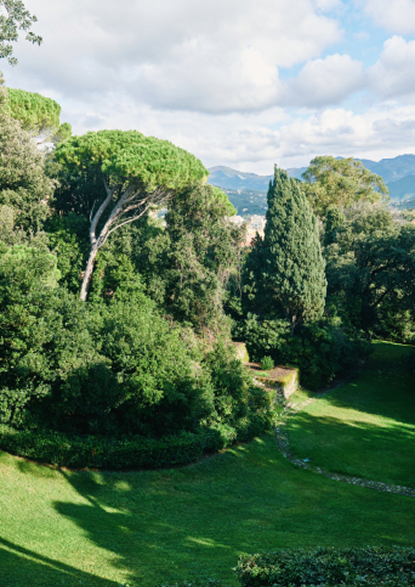 Gio Collection – LAYERED